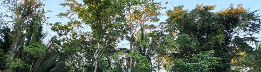 Belize Natural Resource Management Protection - Karst Habitat Conservation