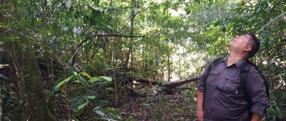 Belize Conservation Research & Monitoring - Karst Habitat Conservation